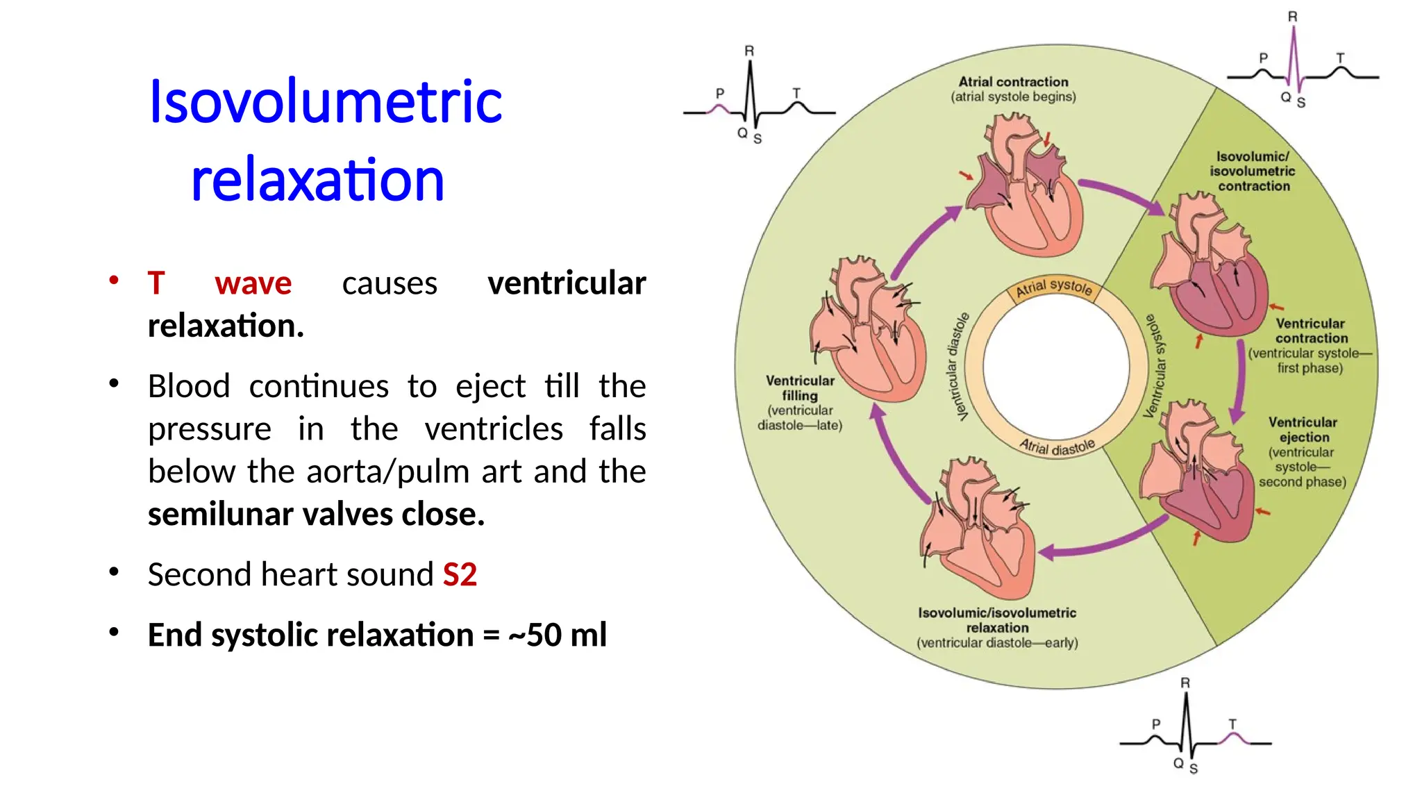 Lecture 6_Cardiac cycle. ppsx Cardiac cycle | PPSX