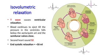 Lecture 6_Cardiac cycle. ppsx Cardiac cycle | PPT