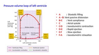 Lecture 6_Cardiac cycle. ppsx Cardiac cycle | PPT