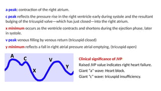 Lecture 6_Cardiac cycle. ppsx Cardiac cycle | PPT | Free Download