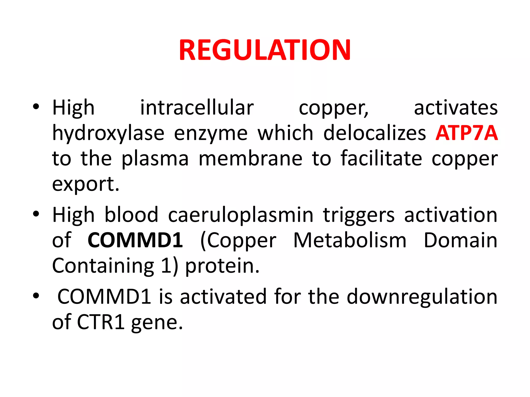 lecture 6 copper.pptx