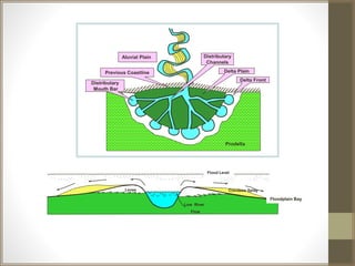 River Delta Diagram For Kids