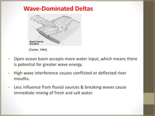 River Delta Diagram For Kids
