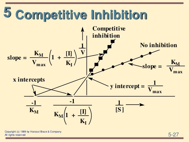 Lecture6enzy advance