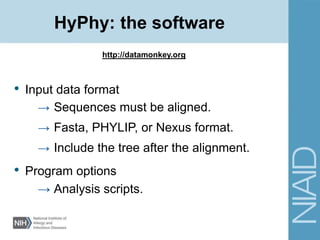 Selection analysis using HyPhy | PPT
