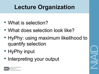 Selection analysis using HyPhy | PPTX