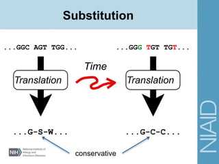 Selection analysis using HyPhy | PPTX