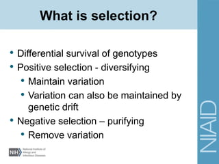 Selection analysis using HyPhy | PPTX