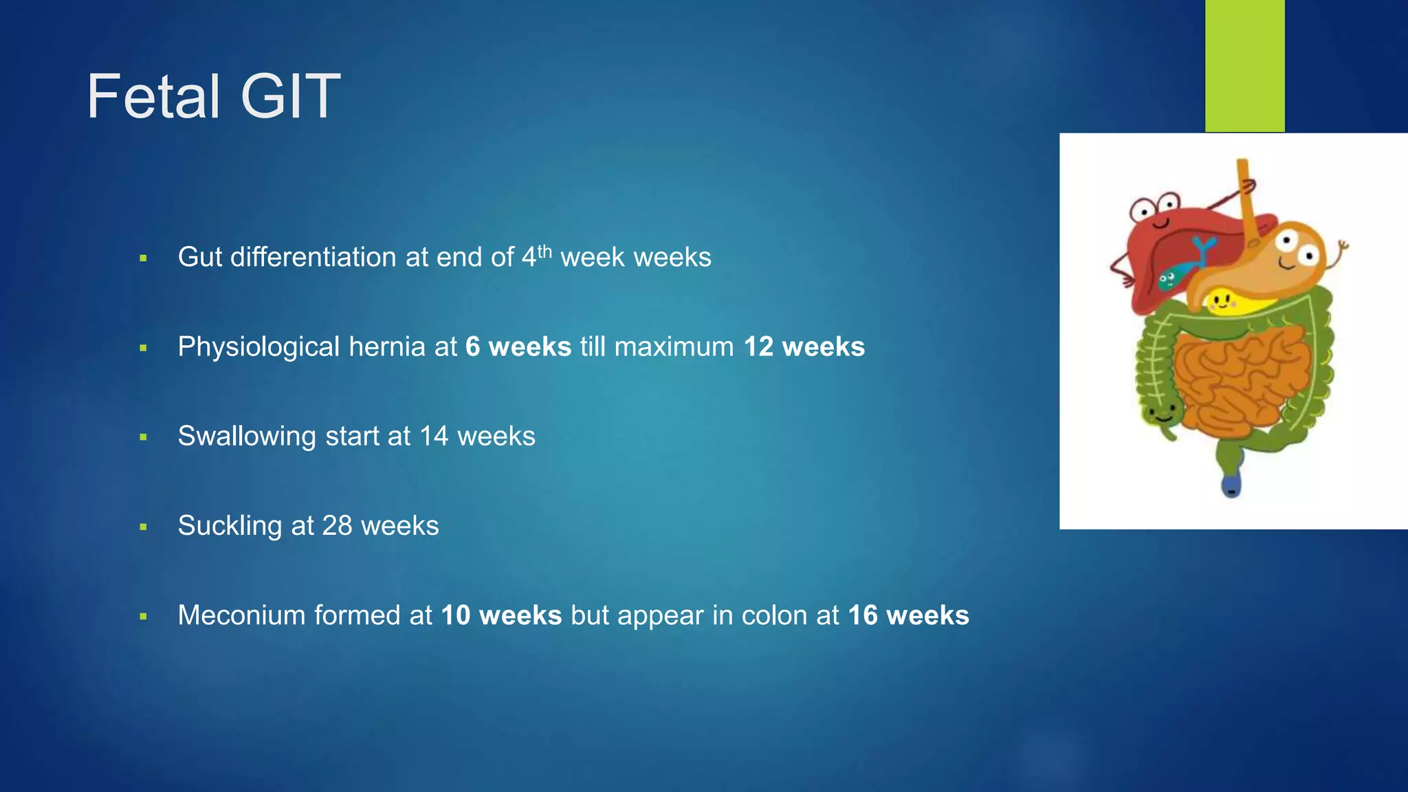 Lecture 6 Fetal physiology and normal growth | PPTX