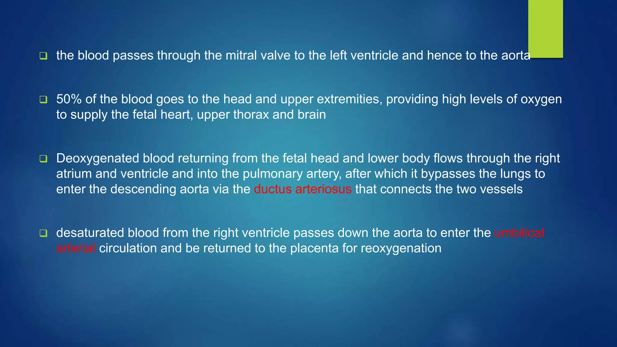 Lecture 6 Fetal physiology and normal growth | PPTX