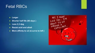Lecture 6 Fetal physiology and normal growth | PPTX
