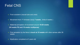 Lecture 6 Fetal physiology and normal growth | PPTX