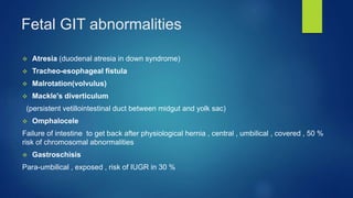 Lecture 6 Fetal physiology and normal growth | PPTX
