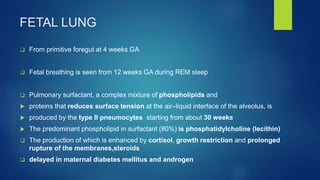 Lecture 6 Fetal physiology and normal growth | PPTX