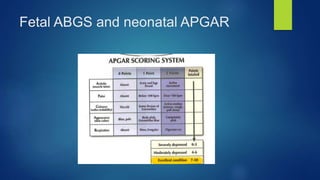 Lecture 6 Fetal physiology and normal growth | PPT