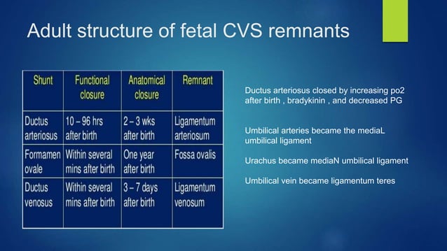 Lecture 6 Fetal physiology and normal growth | PPTX | Pregnancy ...