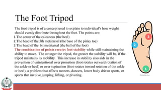 Lecture 6 Foot Pressure Measurement.pptx (1).pdf