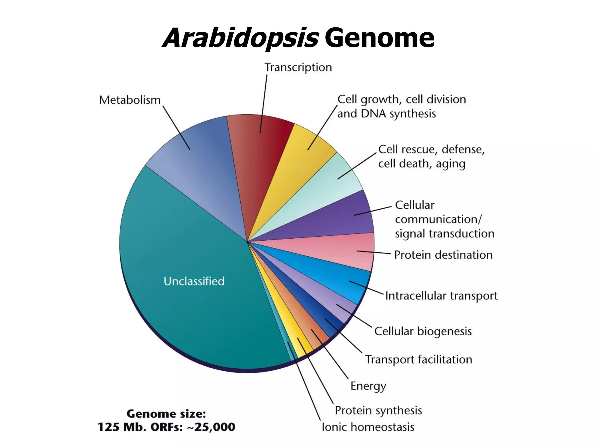 Genomics and bioinformatics | PPT