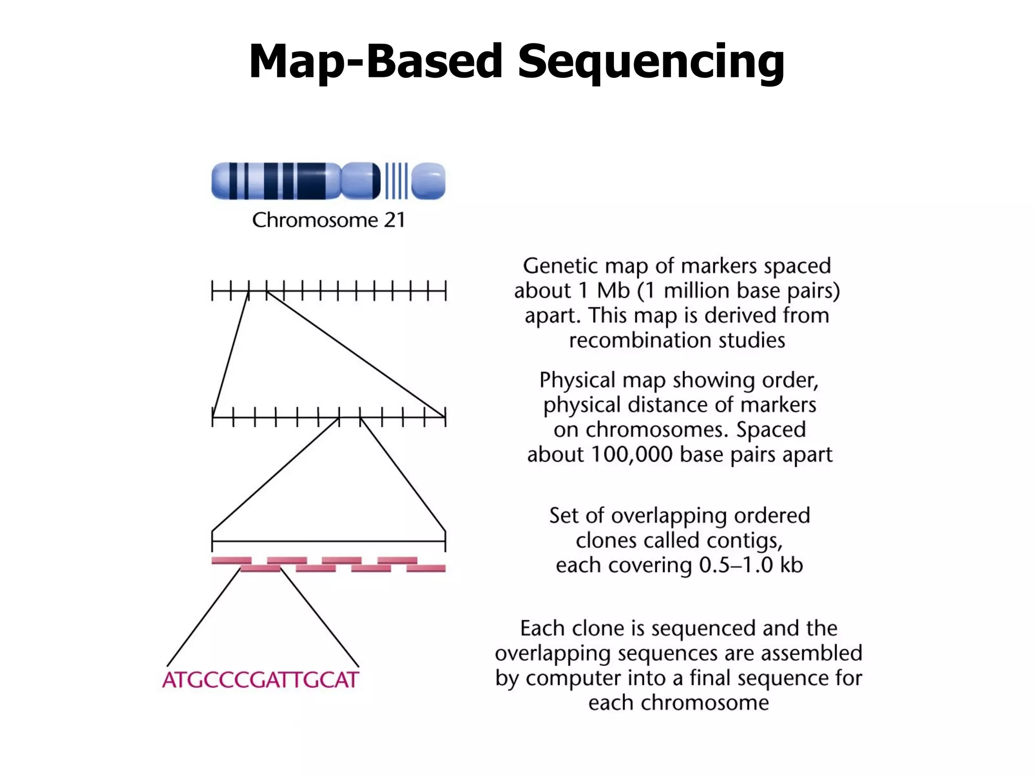 Genomics and bioinformatics | PPT