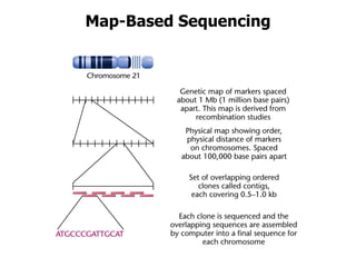 Genomics and bioinformatics | PPT
