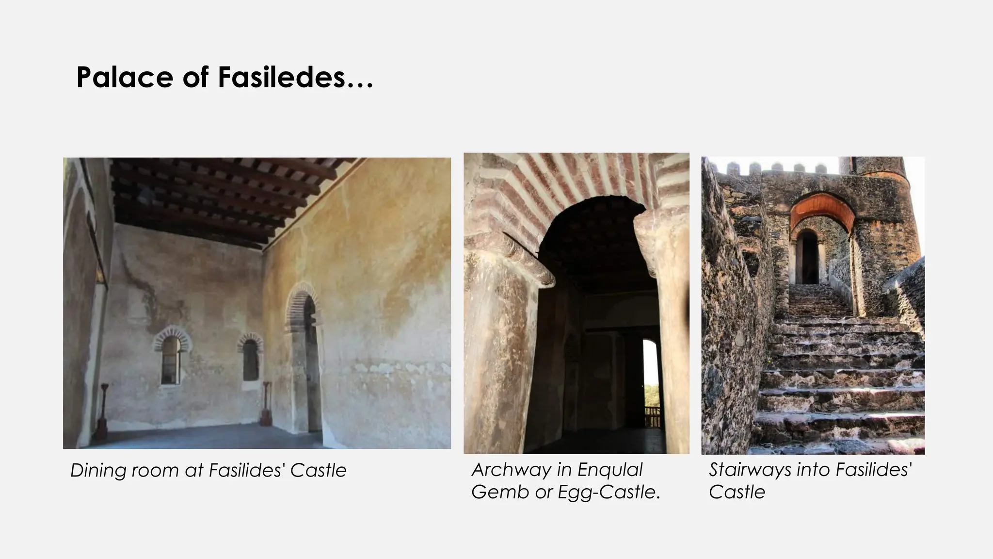 LECTURE 6, Gonderian Architecture_111736.pdf