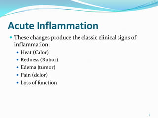 lecture6inflammation-pptx-120913130832-phpapp01.pdf