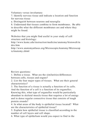 Lecture 6 – Integumentary SystemEssentials of Anatomy and Physio.docx