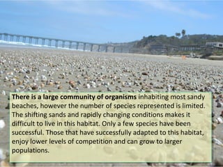 Lecture 6 Intertidal Zones | PPT