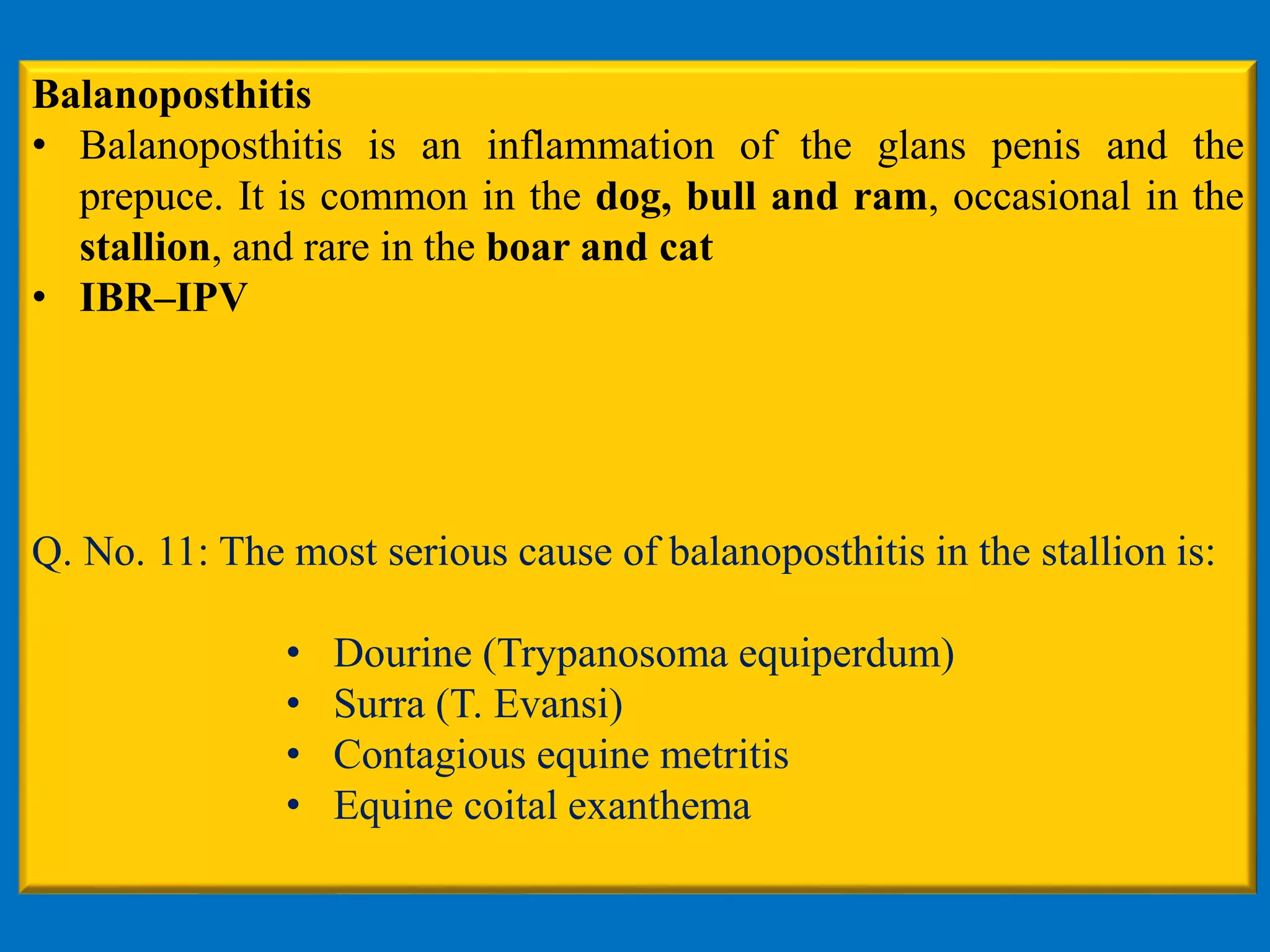 Lecture 6 Male infertility.pptx