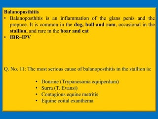 Lecture 6 Male infertility.pptx