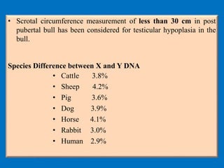 Lecture 6 Male infertility.pptx