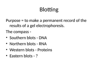 Blotting techniques in biological technology | PPT