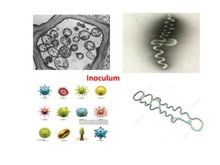 Lecture 6 Pathogenesis.pdf