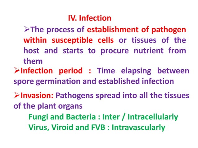 Lecture 6 Pathogenesis.pdf