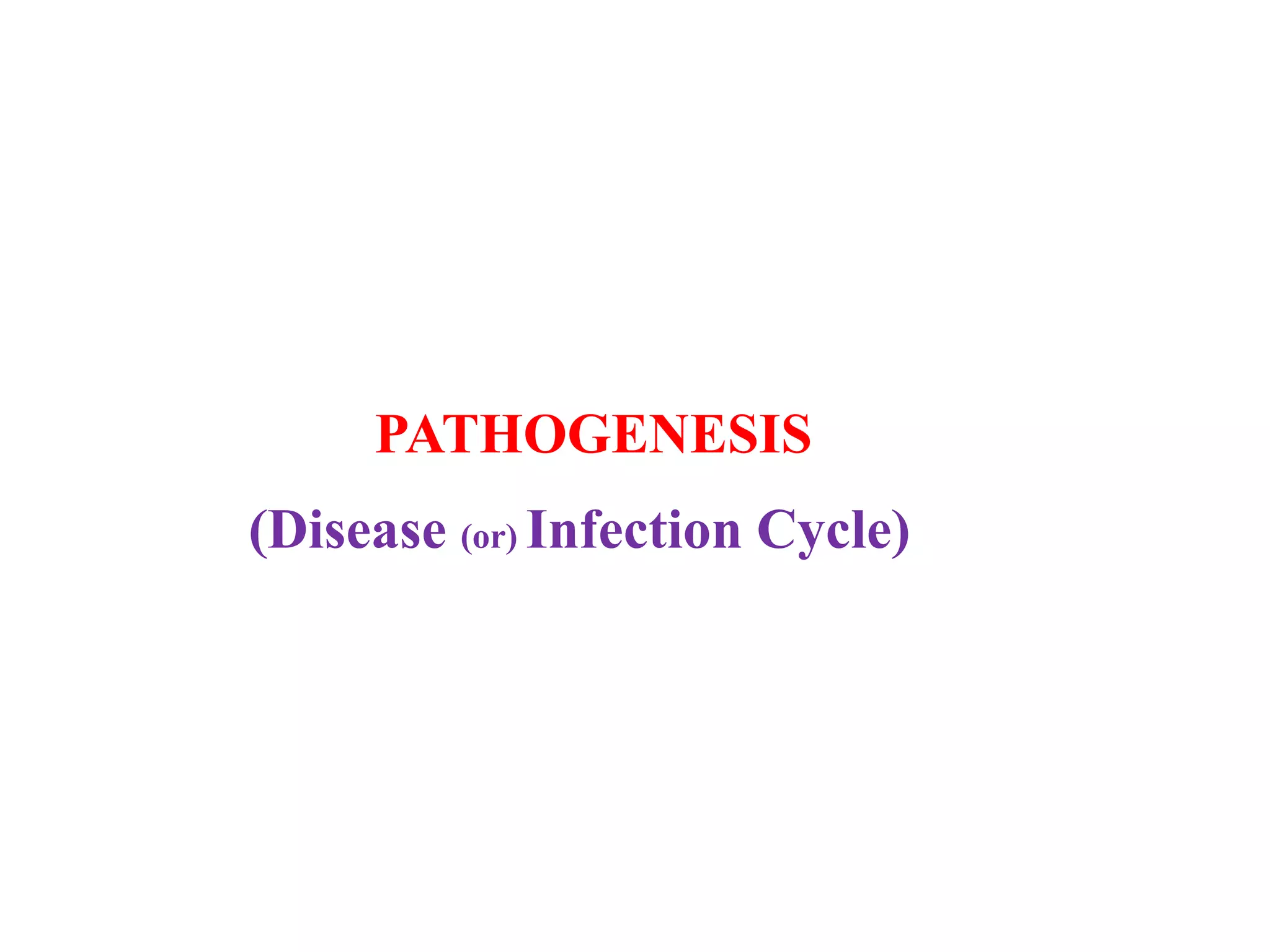Lecture 6 Pathogenesis.pptx