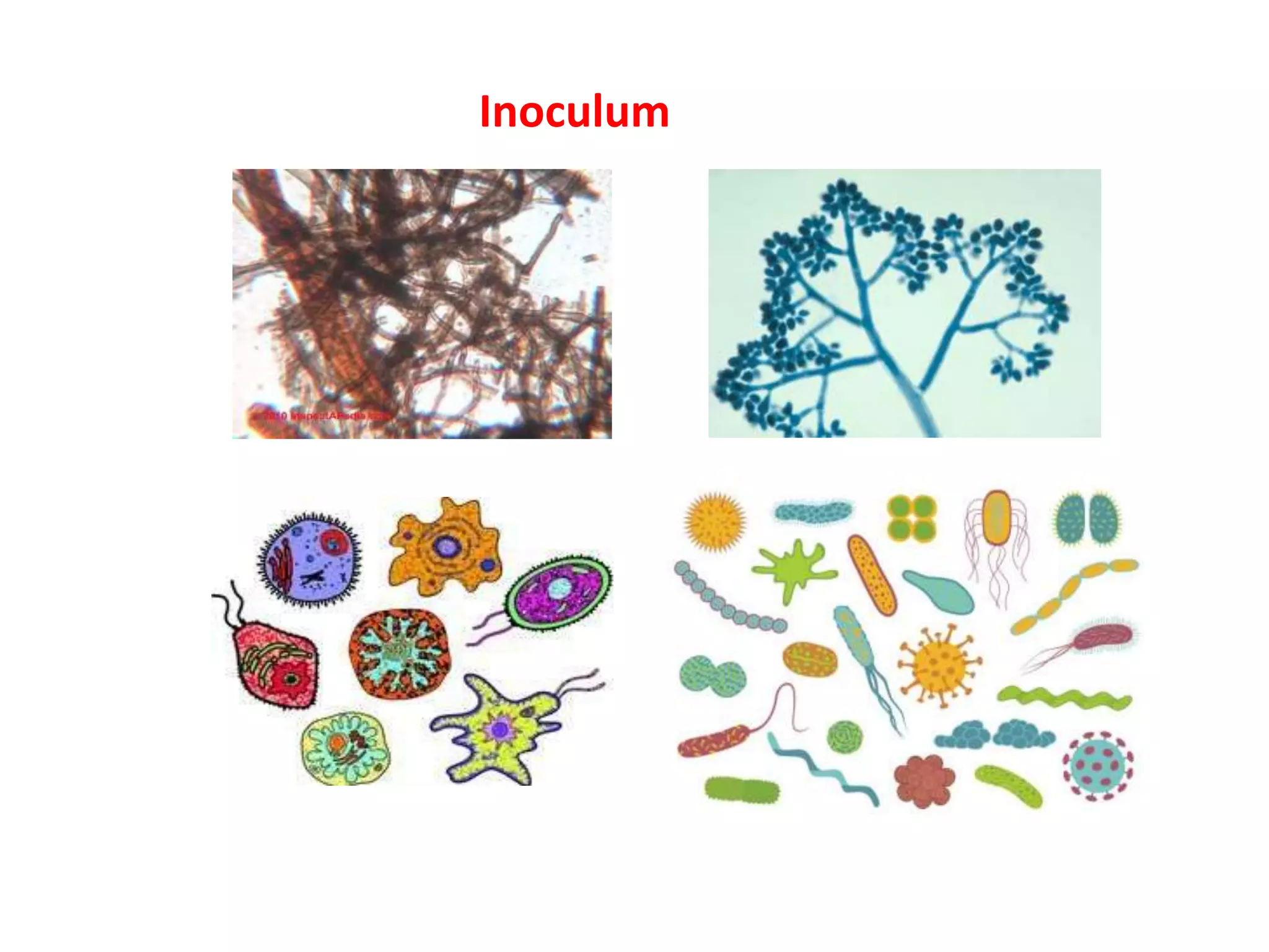 Lecture 6 Pathogenesis.pptx