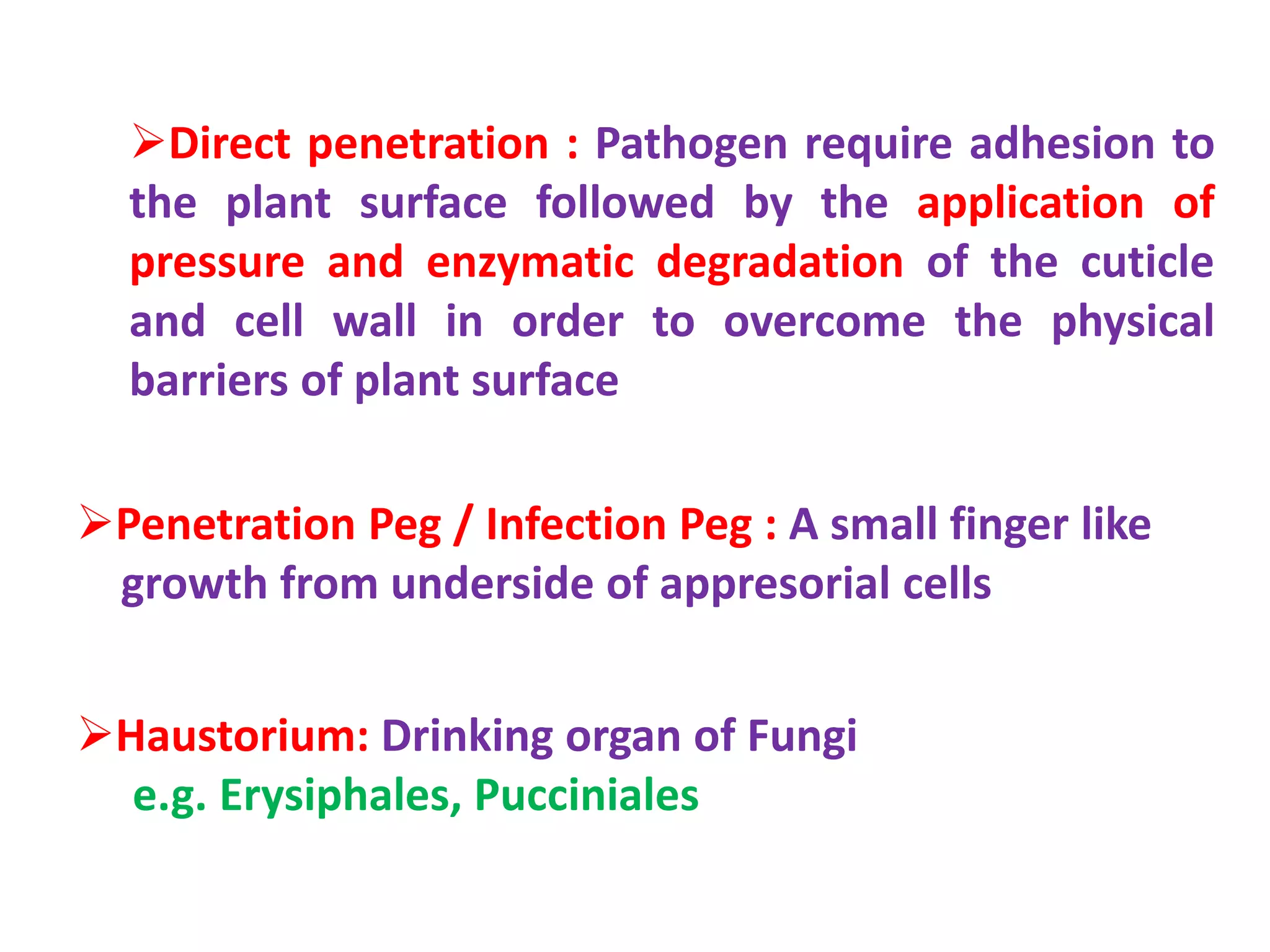 Lecture 6 Pathogenesis.pptx
