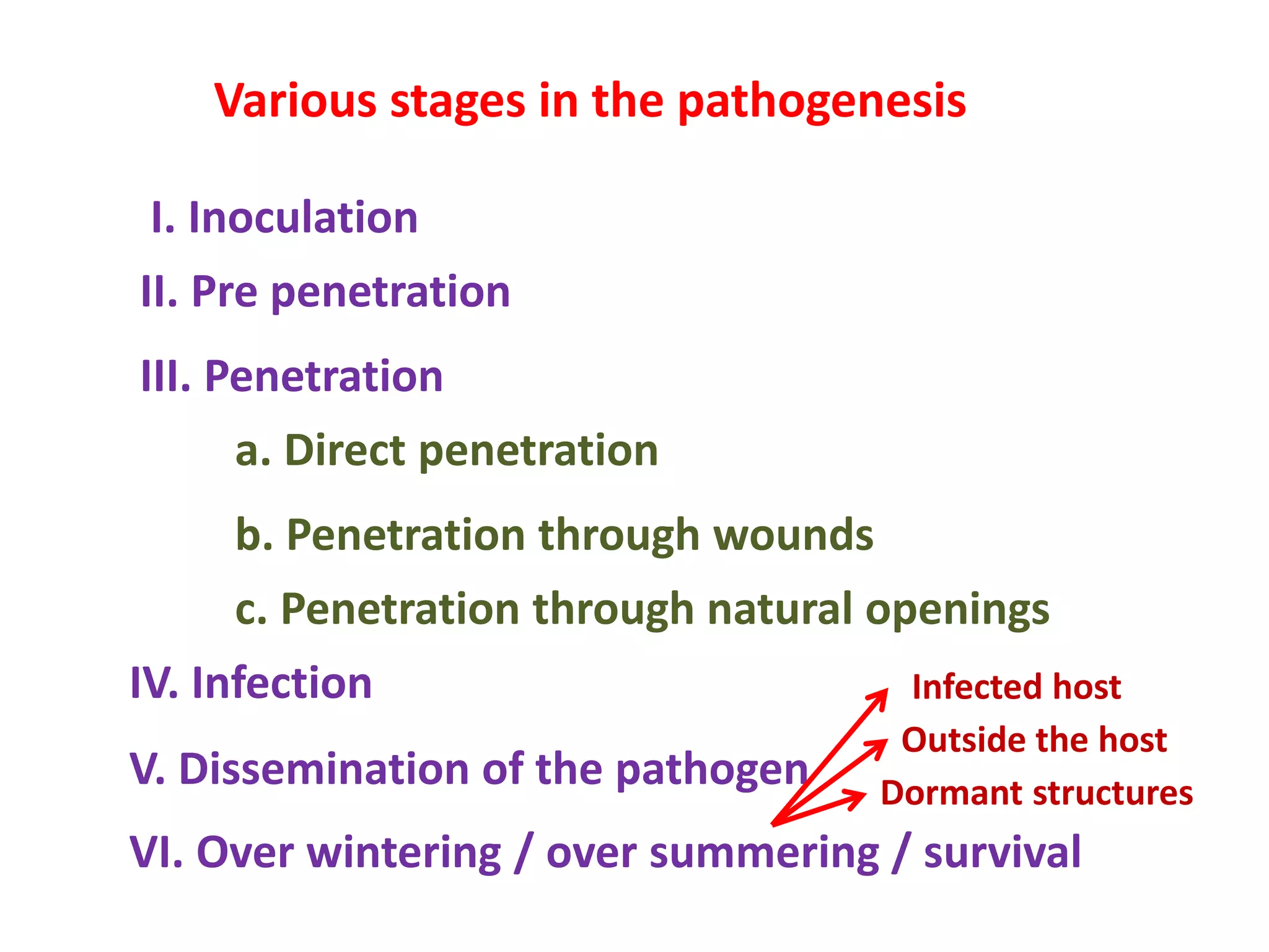 Lecture 6 Pathogenesis.pptx