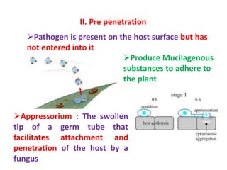 Lecture 6 Pathogenesis.pptx