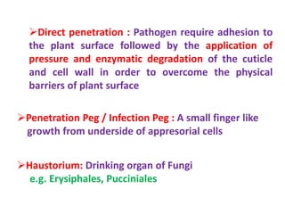 Lecture 6 Pathogenesis.pptx