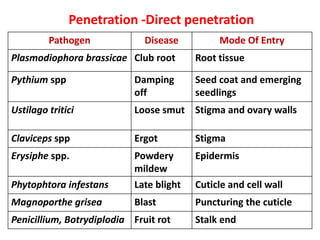 Lecture 6 Pathogenesis.pptx