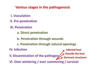 Lecture 6 Pathogenesis.pptx