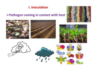 Lecture 6 Pathogenesis.pptx