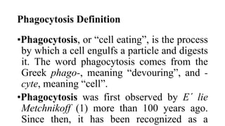 Immunology lecture 6 Phagocytosis.pdf