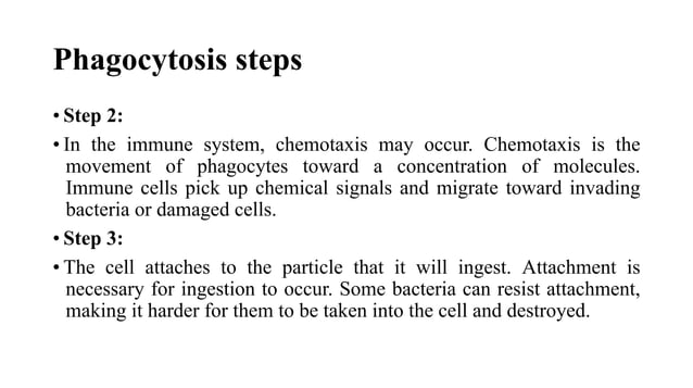Immunology lecture 6 Phagocytosis.pdf | Free Download