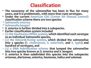 Genus Salmonella | PPT