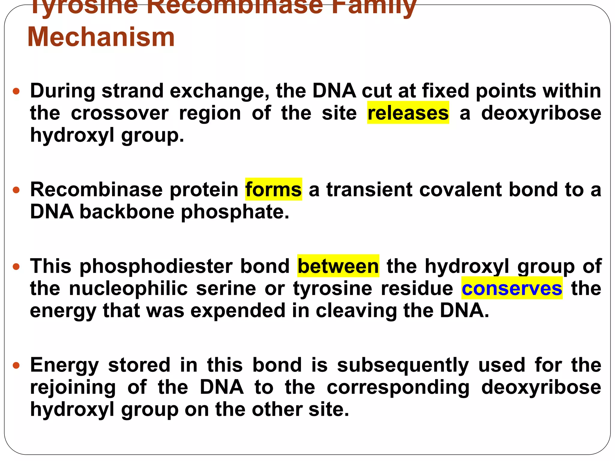 Lecture 6 Site specific recombination (Final).pptx