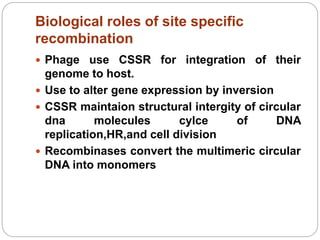 Lecture 6 Site specific recombination (Final).pptx