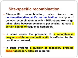 Lecture 6 Site specific recombination (Final).pptx