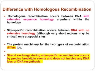 Lecture 6 Site specific recombination (Final).pptx | Chemistry | Science
